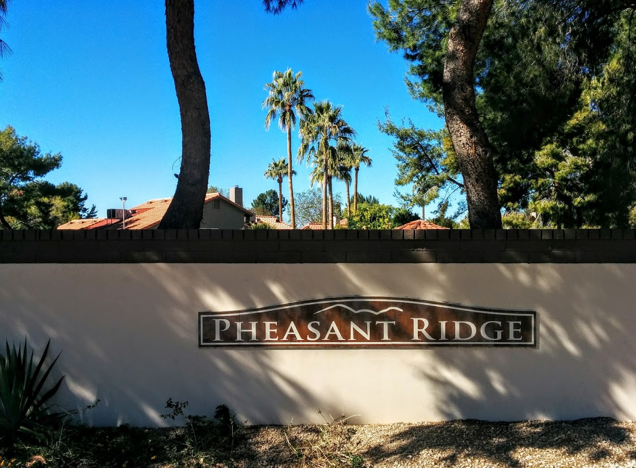 Pheasant Ridge - Tempe Real Estate Agent | Nick Bastian | 602-803-6425